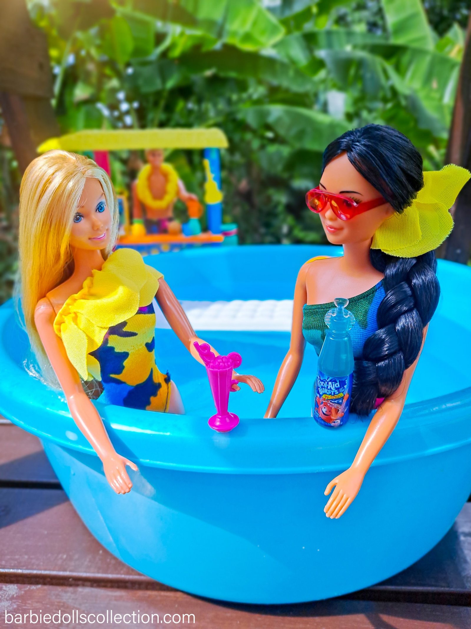 Barbie Tropical Pool Diorama – Barbie Dolls Collection