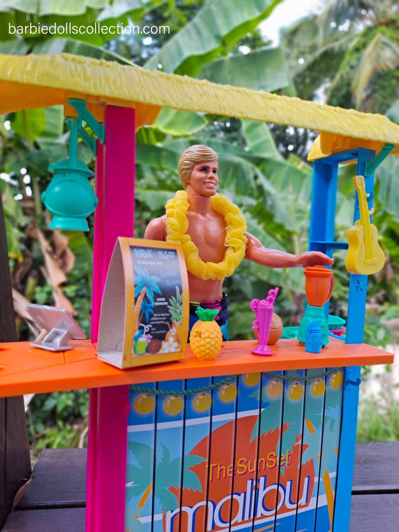 Barbie Tropical Pool Diorama – Barbie Dolls Collection