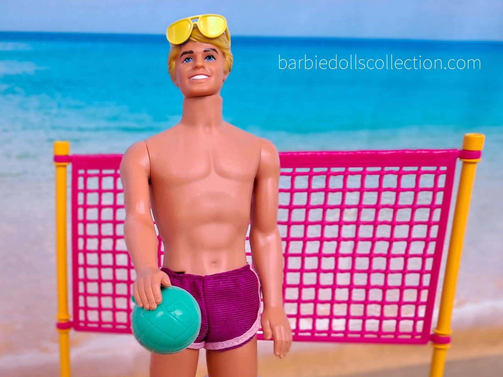 Barbie Loves The Ocean Beach Volleyball – Barbie Dolls Collection