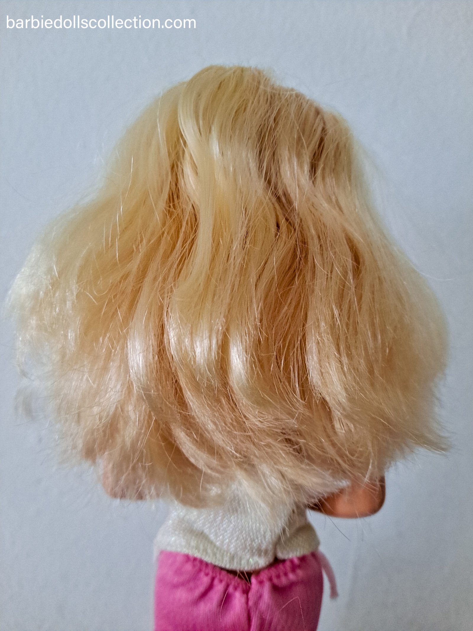 How To Boil Wash Barbie Hair – Barbie Dolls Collection